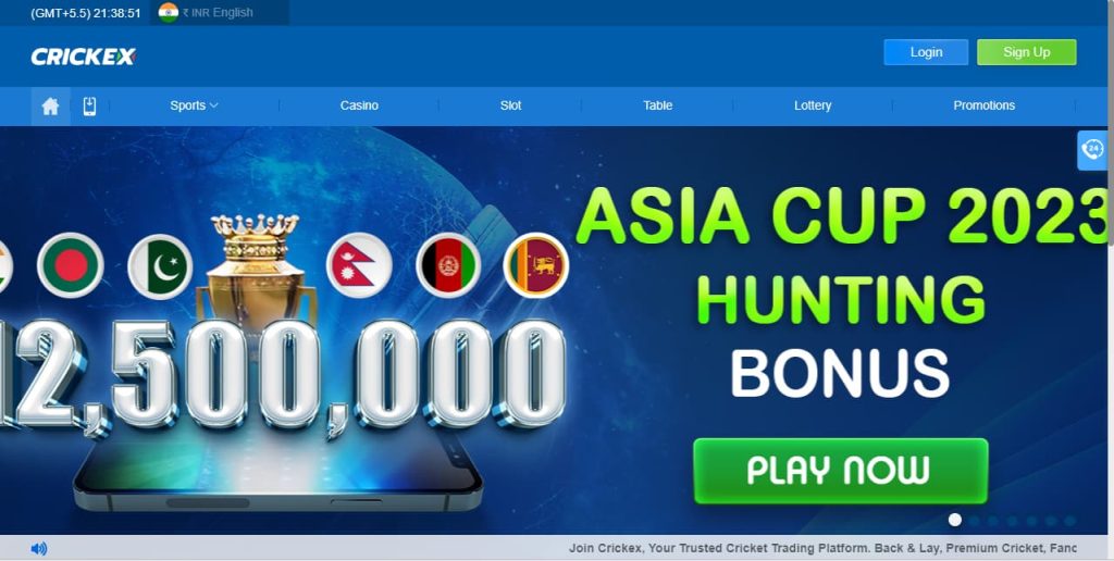 Crickex Login - Best Cricket Betting and Online Crickex Sign Up